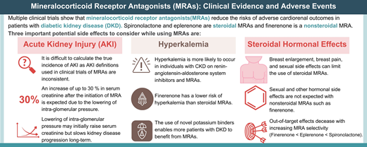 Mineralocorticoid Receptor Antagonists in Diabetic Kidney Disease ...
