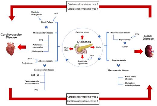 The Interplay Between Diabetes, Cardiovascular Disease, and Kidney ...
