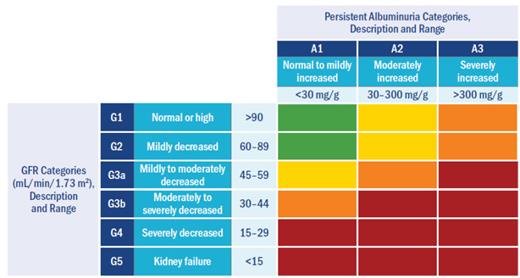 Risk Factors, Symptoms, Biomarkers, and Stages of Chronic Kidney ...