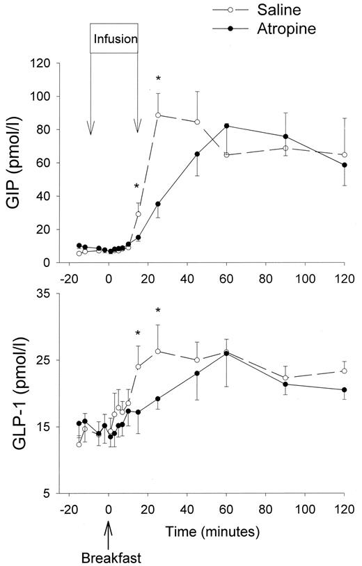 The Cephalic Insulin Response to Meal Ingestion in Humans Is Dependent ...