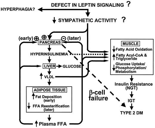 Banting Lecture 2001 | Diabetes | American Diabetes Association