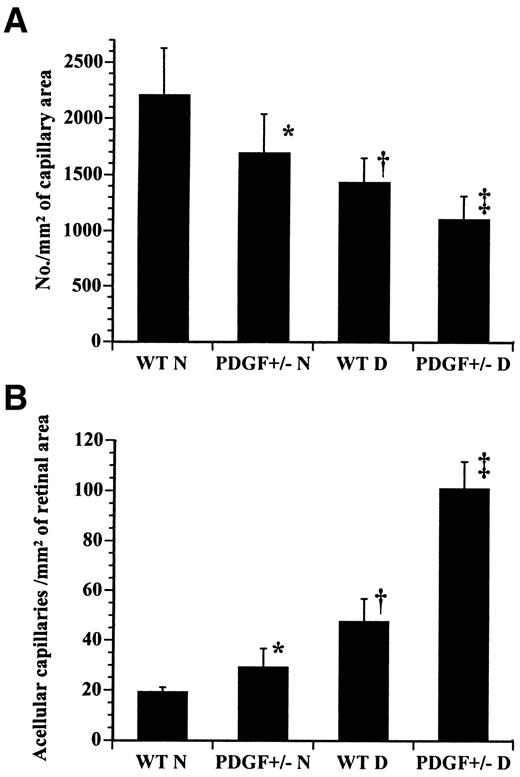 Pericytes and the Pathogenesis of Diabetic Retinopathy | Diabetes ...