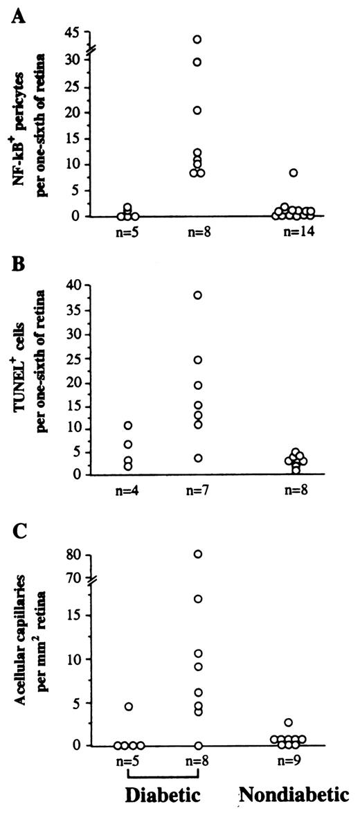 Activation of Nuclear Factor-κB Induced by Diabetes and High Glucose ...