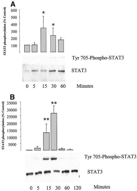 Role of Leptin in the Regulation of Glucagon-Like Peptide-1 Secretion ...