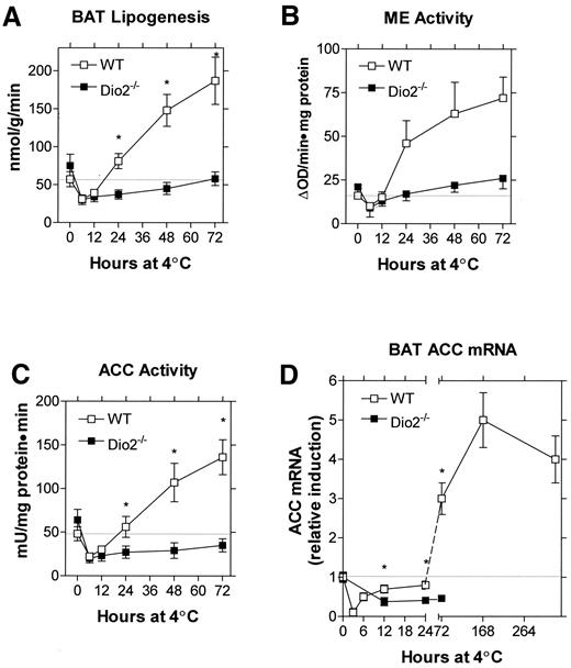 Mice with Targeted Disruption of the Dio2 Gene Have Cold-Induced ...