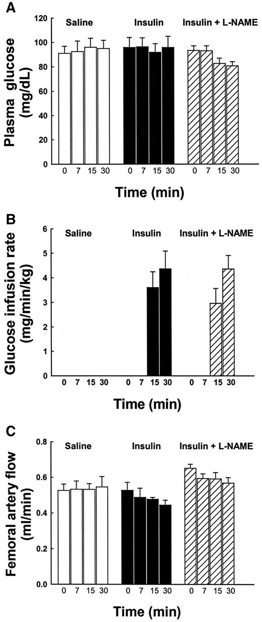 Microvascular Recruitment Is an Early Insulin Effect That Regulates ...