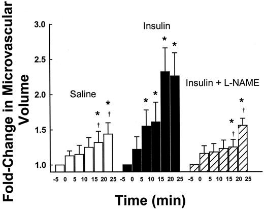Microvascular Recruitment Is an Early Insulin Effect That Regulates ...