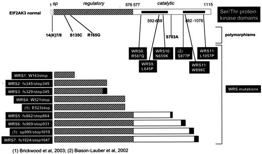 Wolcott-Rallison Syndrome | Diabetes | American Diabetes Association