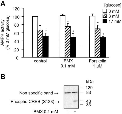 AMP-Activated Protein Kinase: A New Beta-Cell Glucose Sensor ...