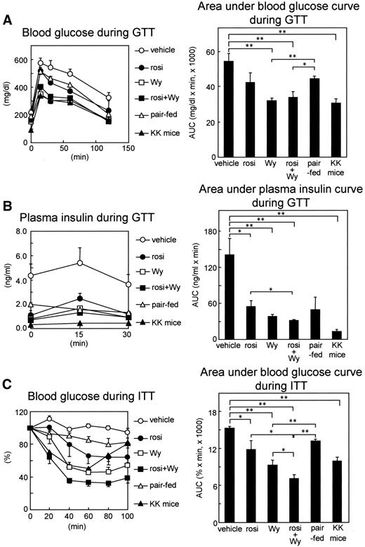 Peroxisome Proliferator–Activated Receptor (PPAR)α Activation Increases ...