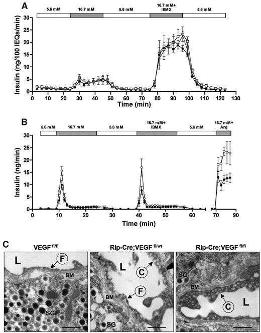 Pancreatic Islet Production of Vascular Endothelial Growth Factor-A Is ...