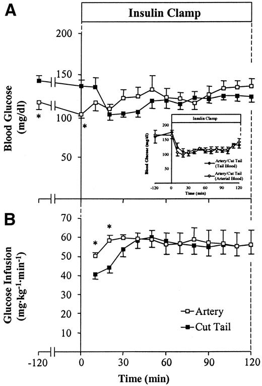 Considerations in the Design of Hyperinsulinemic-Euglycemic Clamps in ...