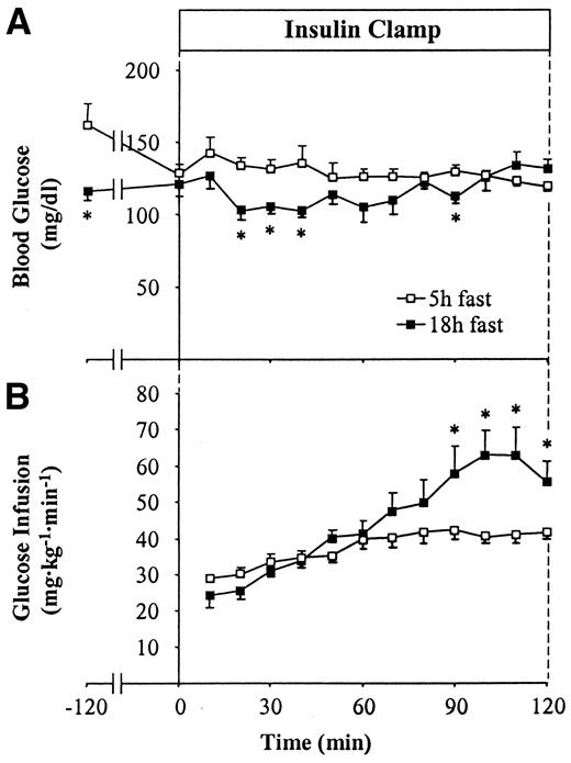 Considerations in the Design of Hyperinsulinemic-Euglycemic Clamps in ...