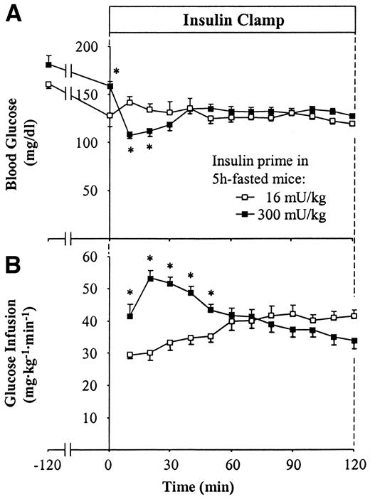 Considerations in the Design of Hyperinsulinemic-Euglycemic Clamps in ...
