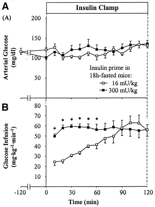 Considerations in the Design of Hyperinsulinemic-Euglycemic Clamps in ...