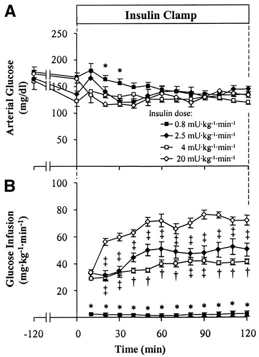 Considerations in the Design of Hyperinsulinemic-Euglycemic Clamps in ...