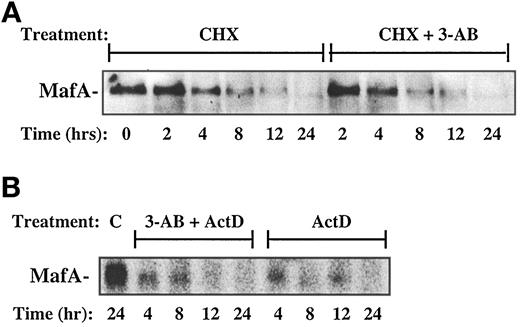 MafA Expression and Insulin Promoter Activity Are Induced by ...