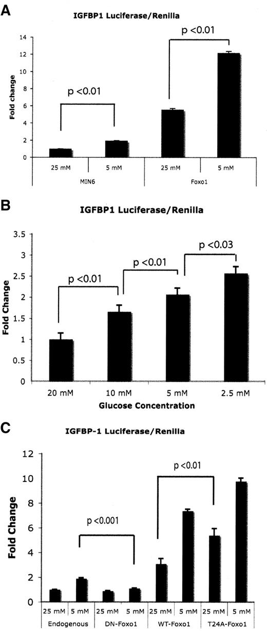 Glucose Regulates Foxo1 Through Insulin Receptor Signaling in the ...