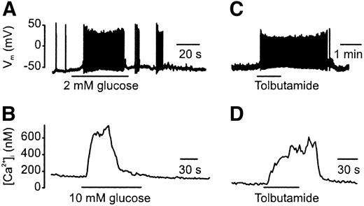 Signaling Mechanisms Underlying the Release of Glucagon-Like Peptide 1 ...