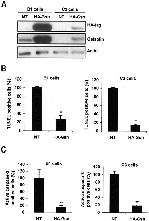 Pro-Survival Role of Gelsolin in Mouse β-Cells | Diabetes | American ...