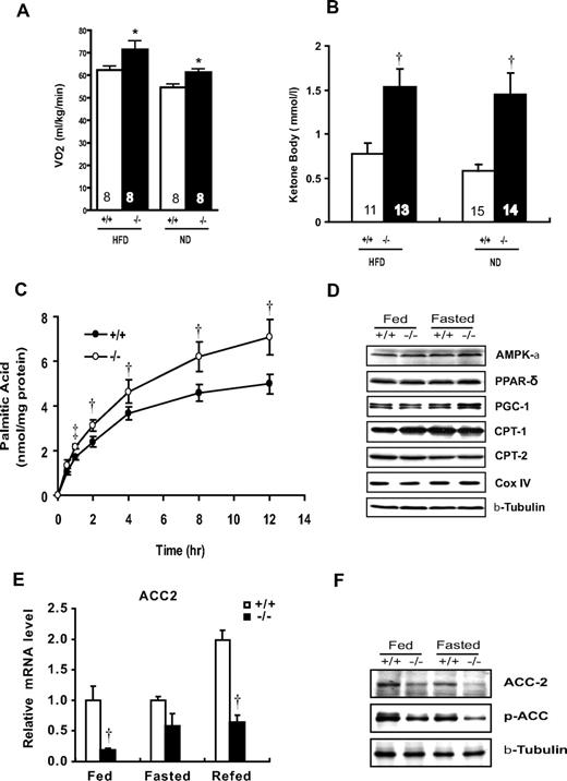 Cideb Regulates Diet-Induced Obesity, Liver Steatosis, and Insulin ...