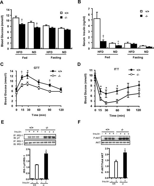 Cideb Regulates Diet-Induced Obesity, Liver Steatosis, and Insulin ...