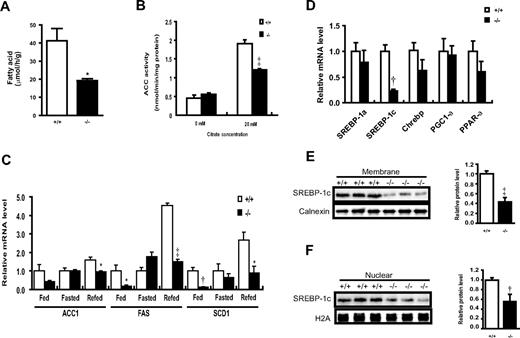 Cideb Regulates Diet-Induced Obesity, Liver Steatosis, and Insulin ...