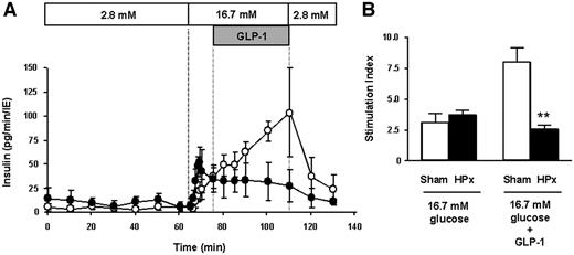 Downregulation of GLP-1 and GIP Receptor Expression by Hyperglycemia ...