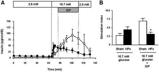 Downregulation of GLP-1 and GIP Receptor Expression by Hyperglycemia ...