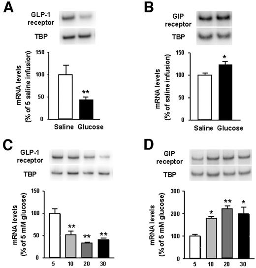 Downregulation of GLP-1 and GIP Receptor Expression by Hyperglycemia ...