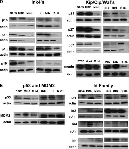 Lessons From the First Comprehensive Molecular Characterization of Cell ...