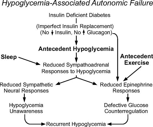The Barrier of Hypoglycemia in Diabetes | Diabetes | American Diabetes ...