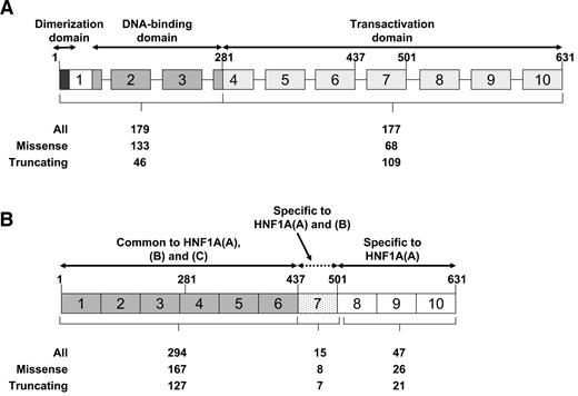 The Type and the Position of HNF1A Mutation Modulate Age at Diagnosis ...