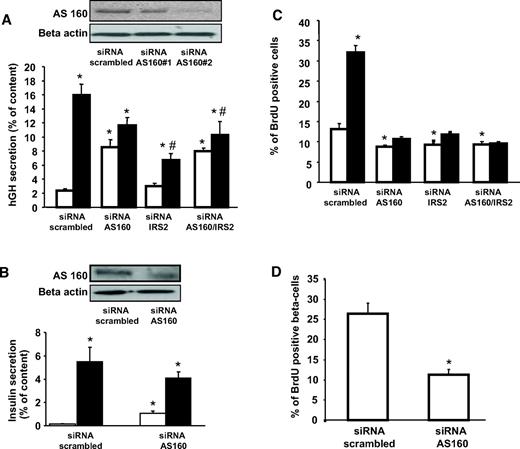 Rab GTPase-Activating Protein AS160 Is a Major Downstream Effector of ...