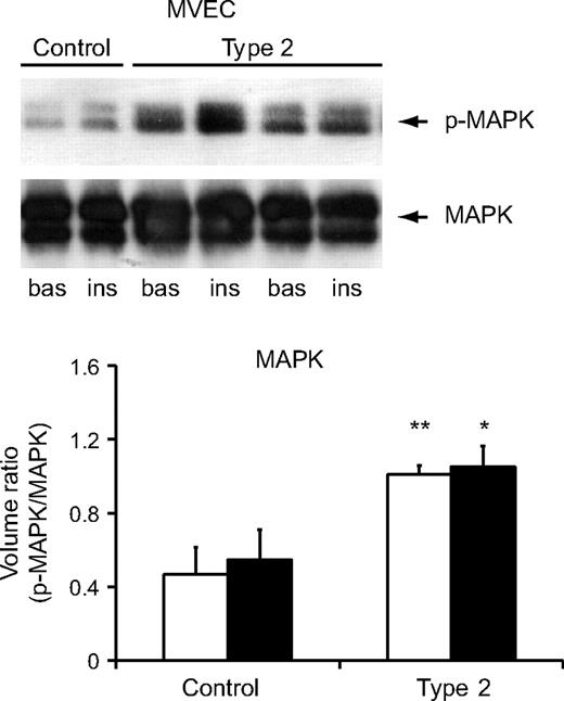 Increased MAPK Activation and Impaired Insulin Signaling in ...