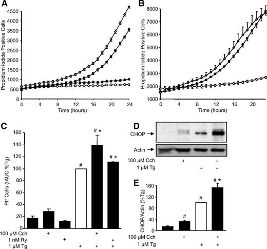 Roles of IP3R and RyR Ca2+ Channels in Endoplasmic Reticulum Stress and ...