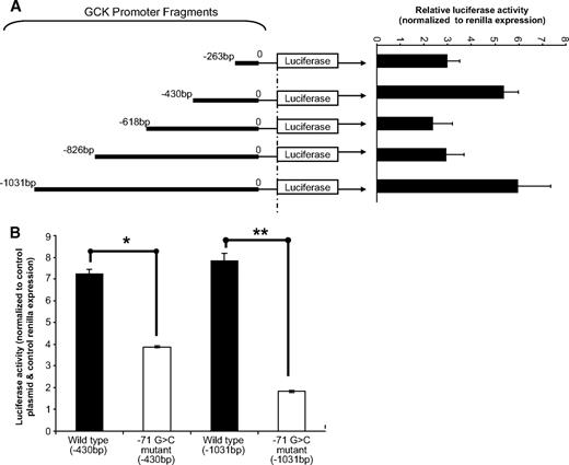 Identification of a Novel β-Cell Glucokinase (GCK) Promoter Mutation (− ...