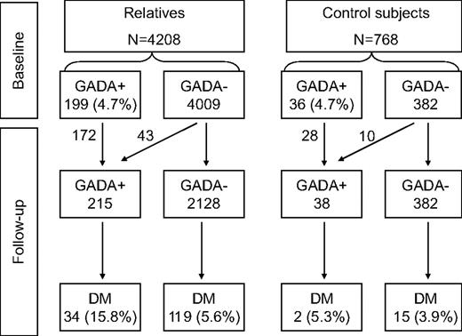 GAD Antibody Positivity Predicts Type 2 Diabetes in an Adult Population ...
