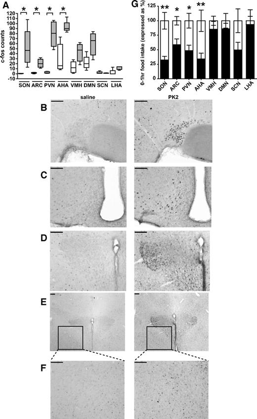 Prokineticin 2 Is a Hypothalamic Neuropeptide That Potently Inhibits ...