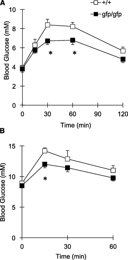 Remodeling of Hepatic Metabolism and Hyperaminoacidemia in Mice ...