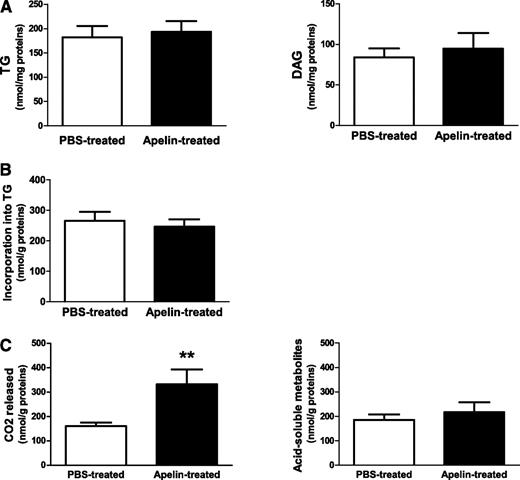 Apelin Treatment Increases Complete Fatty Acid Oxidation, Mitochondrial ...
