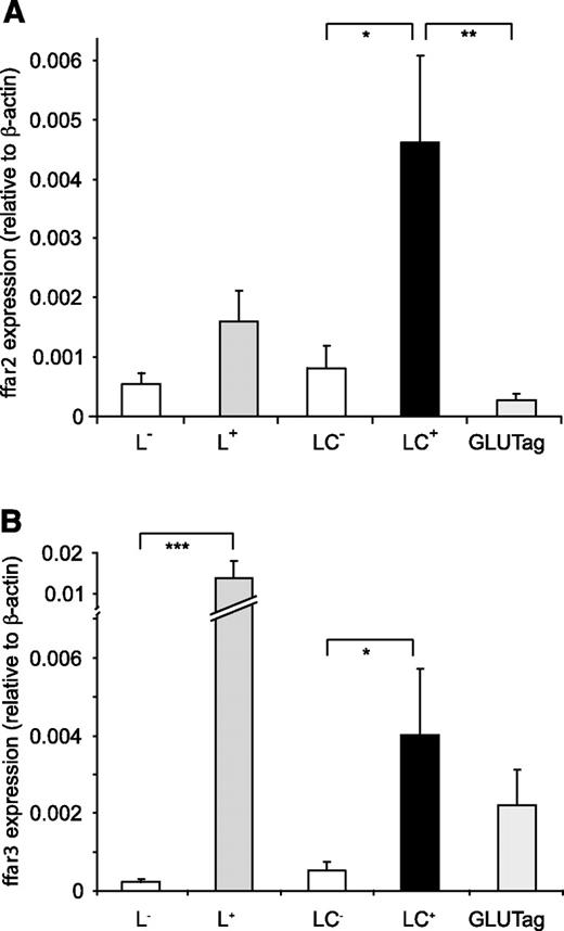 Short-Chain Fatty Acids Stimulate Glucagon-Like Peptide-1 Secretion via ...
