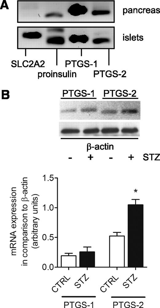 PTGS-2–PTGER2/4 Signaling Pathway Partially Protects From Diabetogenic ...