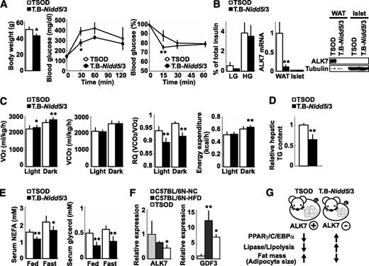 Activin Receptor-Like Kinase 7 Suppresses Lipolysis to Accumulate Fat ...
