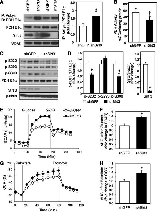 Sirt3 Regulates Metabolic Flexibility of Skeletal Muscle Through ...