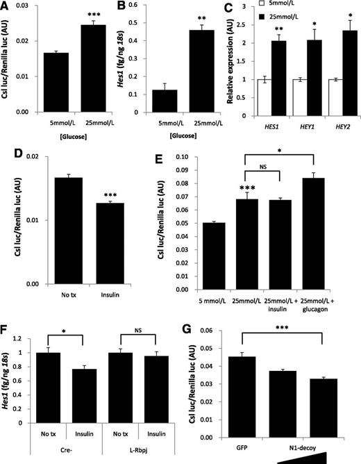 Hepatic Notch Signaling Correlates With Insulin Resistance and ...