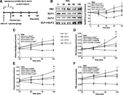 GLP-1 and GLP-2 as Yin and Yang of Intestinal Lipoprotein Production ...