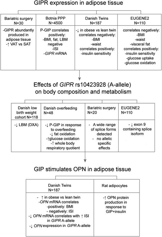 Link Between GIP and Osteopontin in Adipose Tissue and Insulin ...