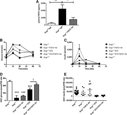 Fibroblast Growth Factor 21 (FGF21) and Glucagon-Like Peptide 1 ...