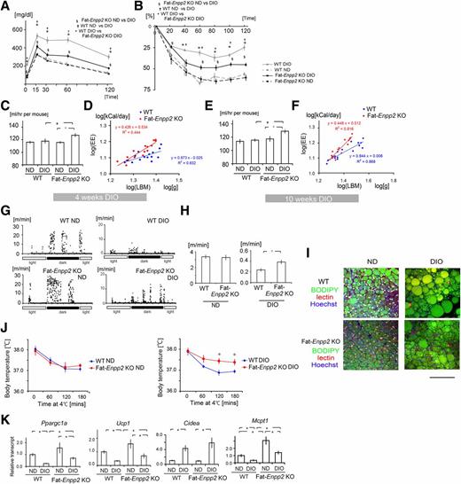ENPP2 Contributes to Adipose Tissue Expansion and Insulin Resistance in ...